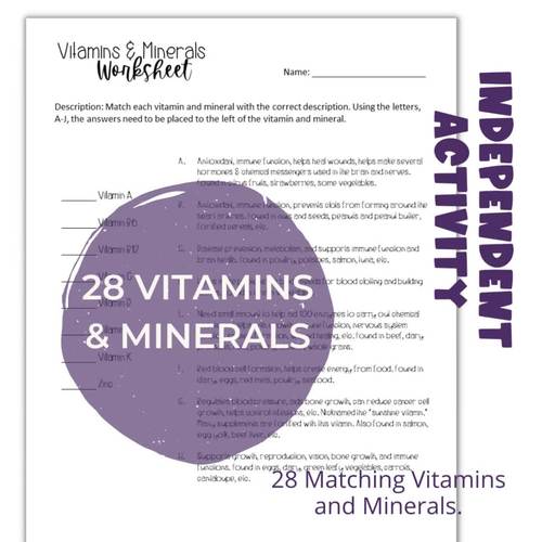 Vitamin and Mineral Worksheet by ShipleyMade | TPT