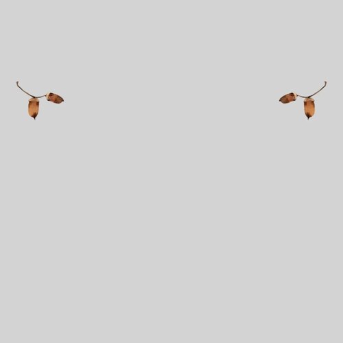 Thanksgiving Menu Choice Board | Gifted & Talented Holiday Enrichment ...