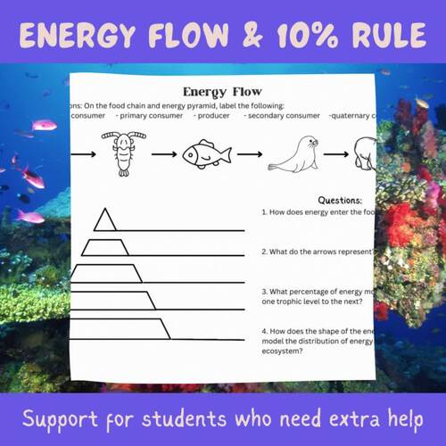 Food Chains Energy Pyramid & Flow & 10% Rule Remediation & Practice for ...