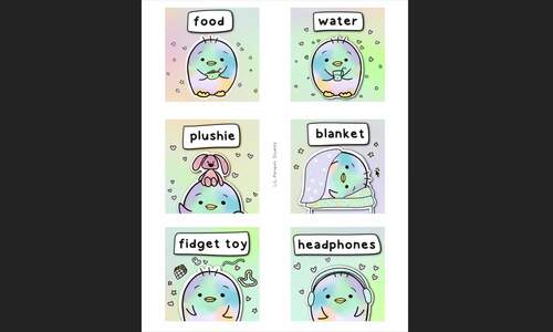 Communication Cards & Affirmations Bundle | Autism AAC, ADHD, Sensory ...