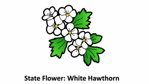 Missouri, Powerpoint, 50 States, Special Education by All About SPED