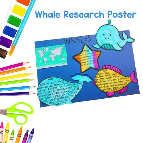 Animal Research Project Whales Dolphins Sharks Informational Writing