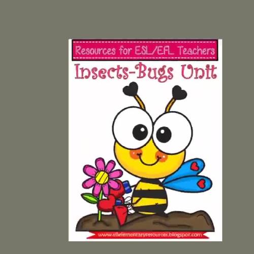Insects or Bugs Unit for Elementary ESL | TpT