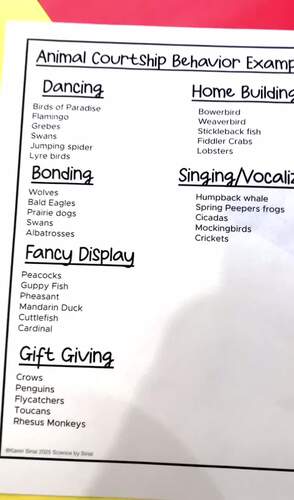 Animal COURTSHIP BEHAVIOR Wanted Poster Research Project-Valentine’s Day