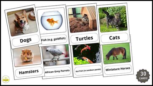 Pets Animals Classification Flashcards, ESL Vocabulary Photo Picture Cards
