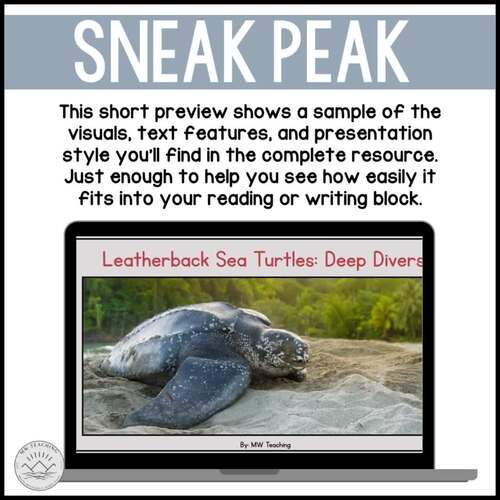 Leatherback Sea Turtles Nonfiction Book by MW Teaching Resources