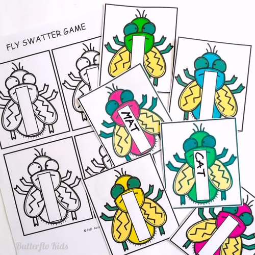 Fly Swatter Flyswatter Games Flashcards by ButterfloKids | TPT