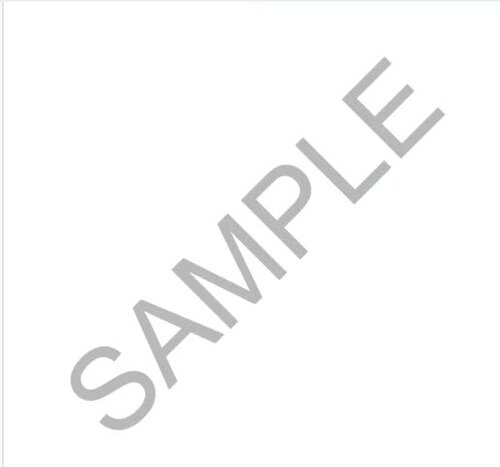 The Landry News Novel Units® Student Packet Novel Study | TPT