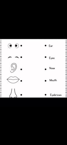 Grade 1 Word Recognition and Writing Practice Worksheet by Learning kit ...