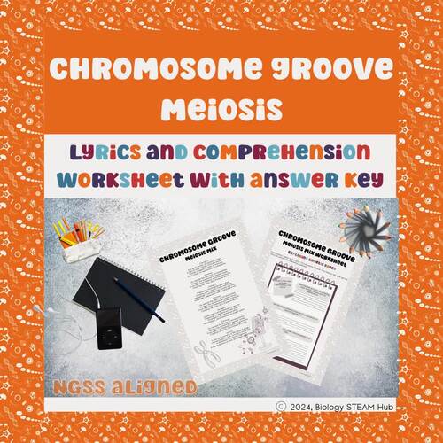 Chromosome Groove: Meiosis | Worksheet and answer key by STEAM Biology Hub