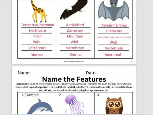 Second Grade Biodiversity Life Science, Engaging Activities, NGSS standard