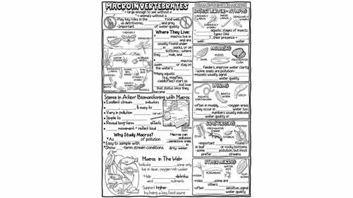 Macroinvertebrates Doodle Notes & Quiz | Aquatic Ecosystems & Bioindicator
