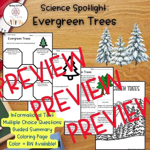 Evergreen Trees - Science, Reading, Coloring, Activities, STEM, No Prep ...