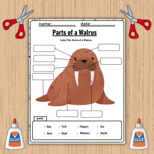 Parts of a Walrus | Labeling Worksheet | Arctic Animals Science ...