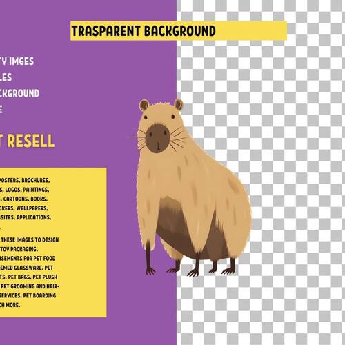 30 Bundle Capybara Clipart | High Quality Transparent PNGs| Instant ...