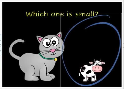 CVI Big vs Small BOOM CARDS™ by One Of A Kind Kids | TPT