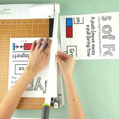 Types of Forces Science Anchor Chart (Poster, Collage & Mini Print)