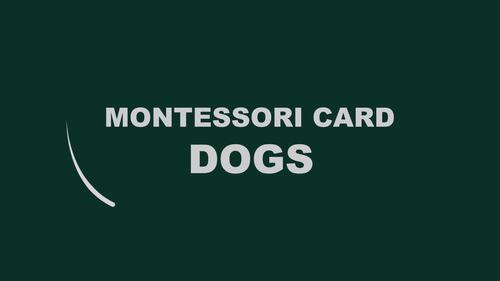 Montessori 3 Part Cards - Parts of a Dog and 12 Dog Breeds | TPT