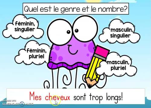 Le genre et le nombre dans un groupe du nom by Madame Soleil | TPT