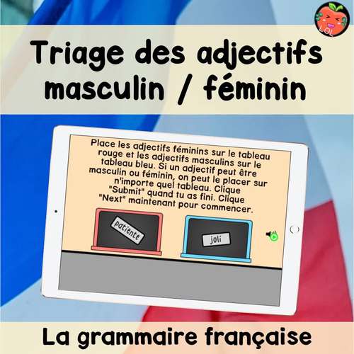 Triage de genre masculin et féminin | Cartes Boom | La grammaire française
