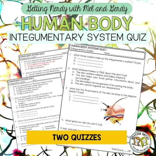 Integumentary System | Human Body | Skin Structure & Function Quizzes ...