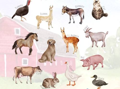 Farm Animals Scavenger Hunt, Outdoor Games, Farm Field Trip Activity ...