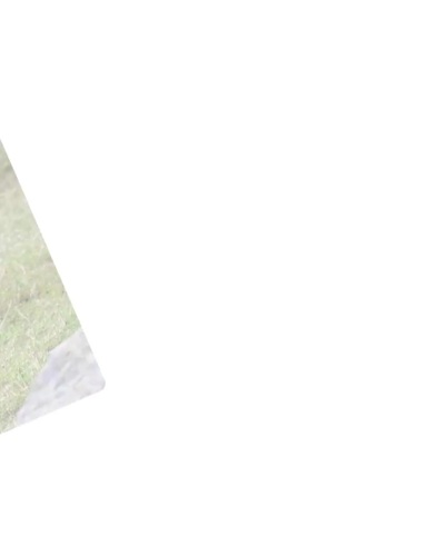 20 Europe Animals Flashcards | Editable Montessori Cards with Wildlife ...