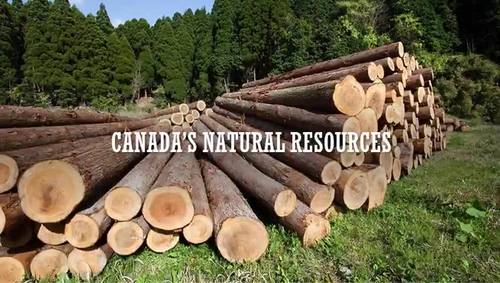 Canada's Natural Resources [Powerpoint & Video Lesson] by Teacher In ...
