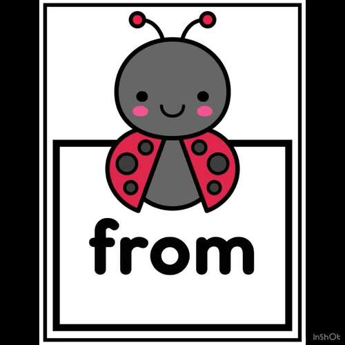 First Grade Dolch Sight Words | Spring Ladybug Theme Posters & Practice ...
