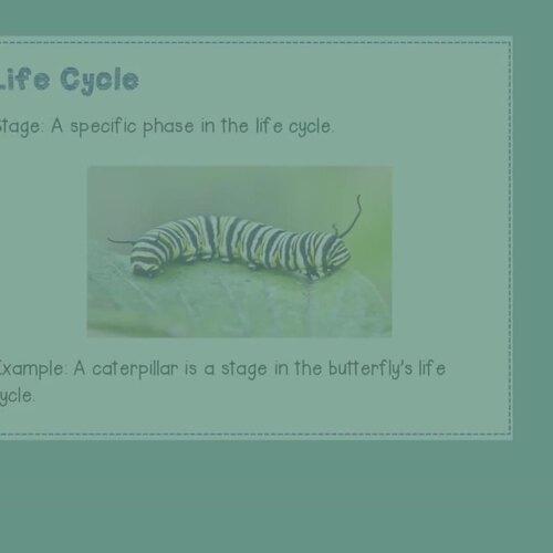 Life Cycles Vocabulary, PowerPoint Presentation, Graphic Organizers, Quiz