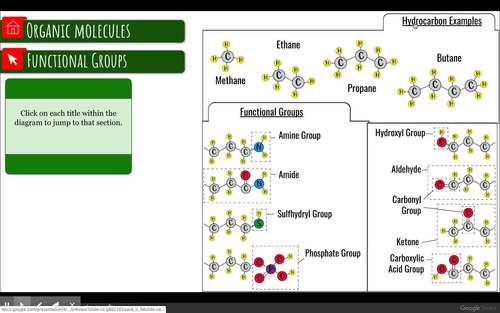 Organic Molecules Interactive Diagram by Science With Mrs Lau | TPT