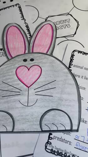 All About Rabbits Non Fiction Report and Craft | Easter | TPT