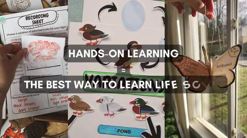 Life Cycles and Traits Third Grade NGSS Science Unit Projects | TPT