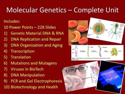 Molecular Genetics Unit - Lessons, Notes, Worksheets & Assessments