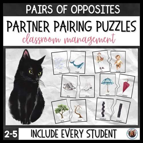 Partner Pairing Puzzles | Opposites | Classroom Management | Inclusive ...
