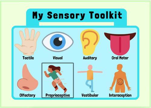 Sensory Diet Tools & Visuals: For Special Education & Occupational Therapy