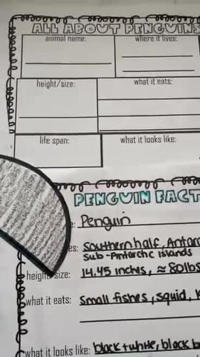 All About Penguins Non Fiction Report and Craft by The Teaching Diva Corner