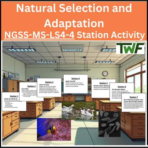 Natural Selection and Adaptation - Station Activity - NGSS-MS-LS4-4
