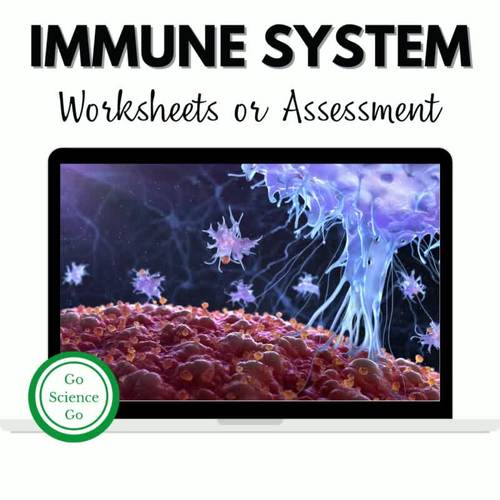 Immune System Worksheet | Assessment by GoScienceGo | TPT