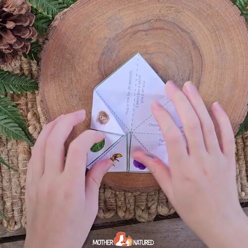 Nature Cootie Catcher | Nature Chatterbox | Nature Activity | Nature ...