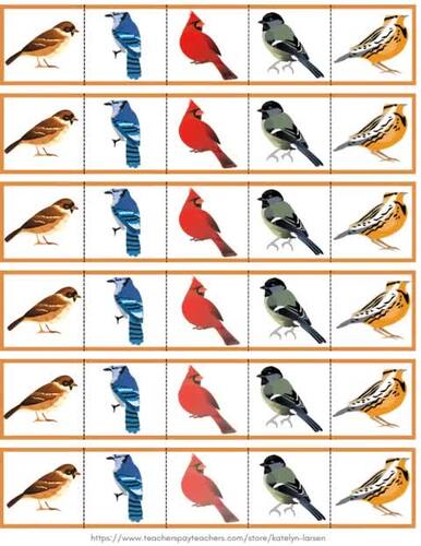 BIRDS Cutting Strips for Montessori Toddler, PreK, Homeschool by ...