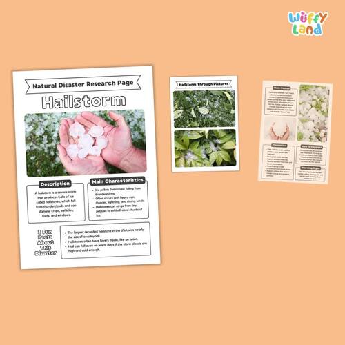 Weather Related Natural Disasters Research Bundle | Extreme Science ...