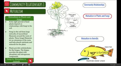 Community Relationships Part 1 Interactive Diagram by Science With Mrs Lau
