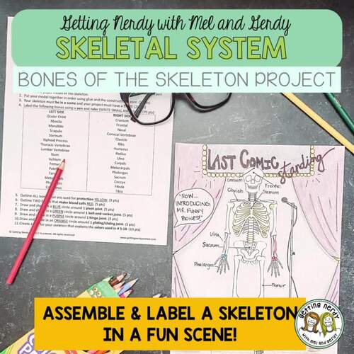 Skeletal System | Human Body | Anatomy | Identify & Label Skeleton ...