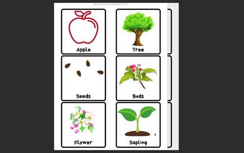 Apple Themed Flashcards for UTK, Preschool, Pre-K, TK, and Kindergarten