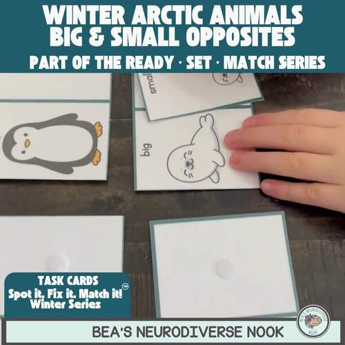 Winter Task Cards | Big & Small | Arctic Animal Match | Special ...