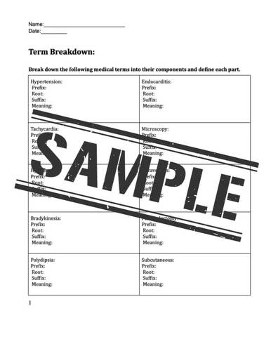 Intro to Medical Terminology | BUNDLE | Editable Google Slides & Activities
