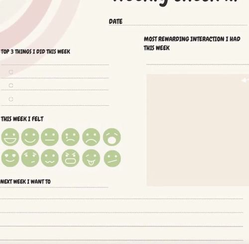 Weekly Check In Printable Worksheet Children Journal Template School Class