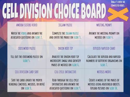 Cell Division Digital Choice Board by Science Lessons That Rock | TPT