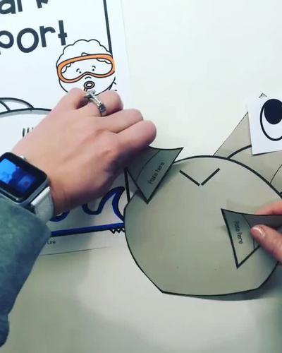 Shark Report Guide and Craft by Natashas Crafts - Crafty Teacher Link